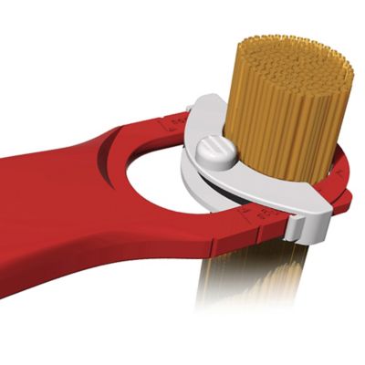 Pasta Measure - Bed Bath & Beyond