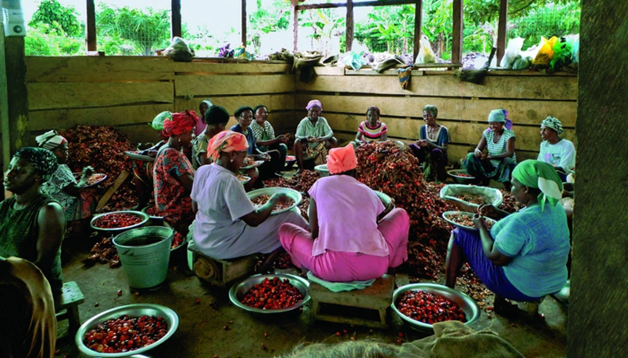 Chemistry Boosts Global Sustainable Development