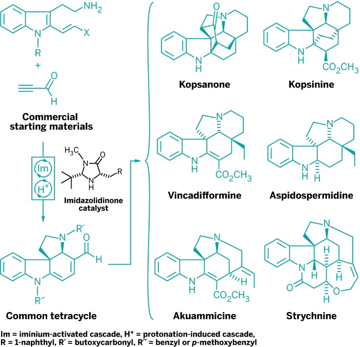 Cascade-Natural-Products