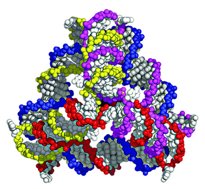 DNA-Cages-Slip-Cells