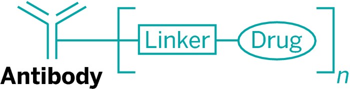 Seattle-Genetics-Hits-Key-Target