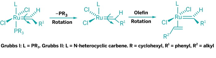Grubbs-Ruthenium-Catalysts-Explained