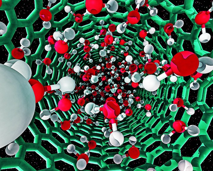 Water-Fills-Nanotubes