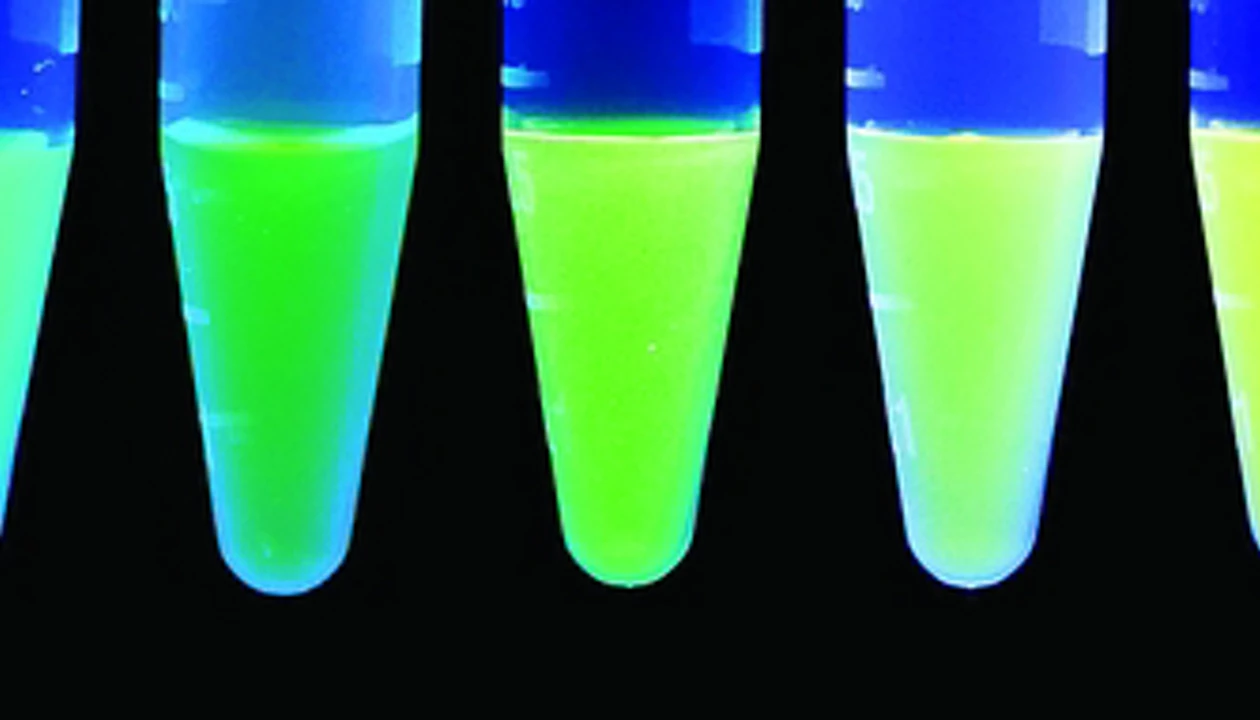 Fluorescent Labels Color Code RNA