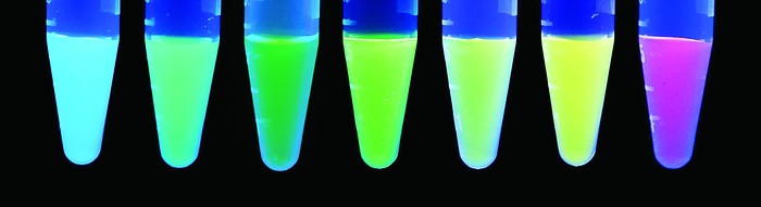 Fluorescent-Labels-Color-Code-RNA