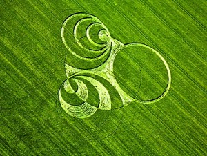 Real Alien Crop Circle
