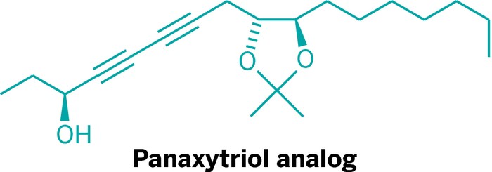 Ginseng-Compound-Curbs-Chemo-Effects