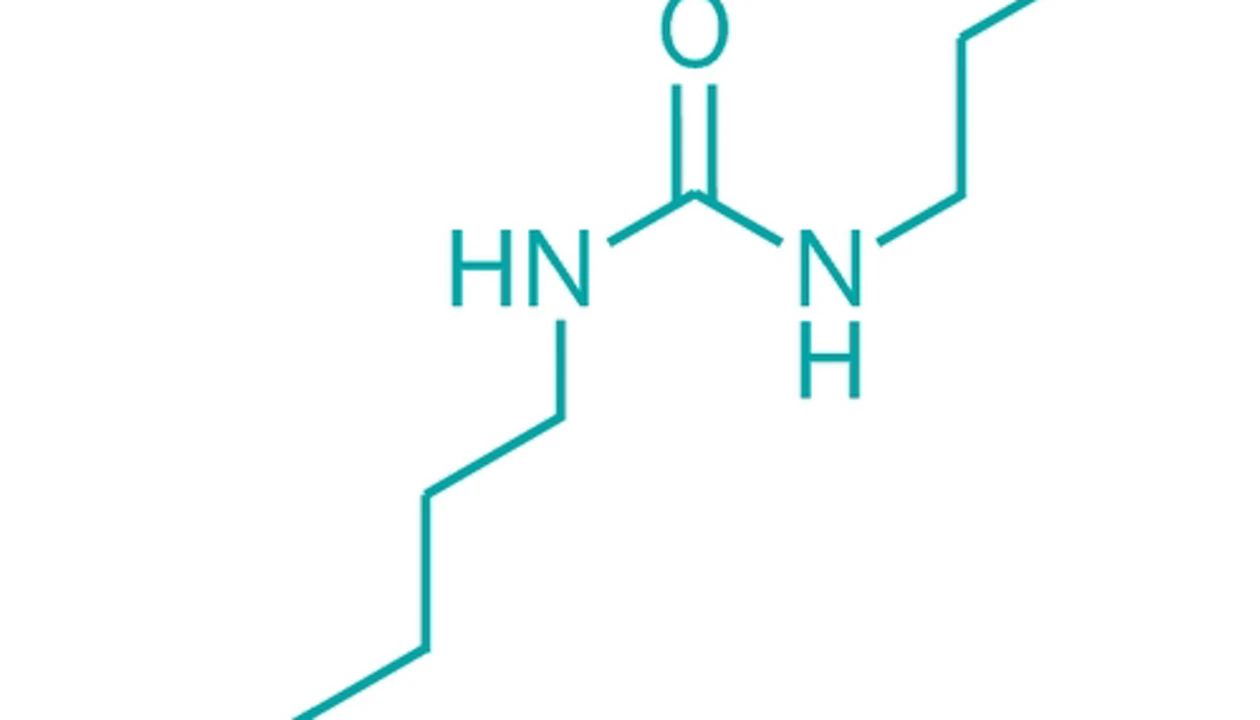 Bacterial Acid Trips