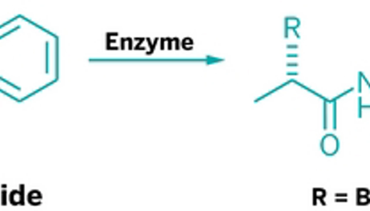 Chemoenzymatic Path Yields Chiral Amides