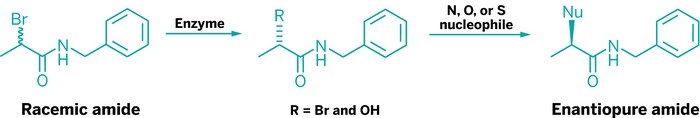 Chemoenzymatic-Path-Yields-Chiral-Amides