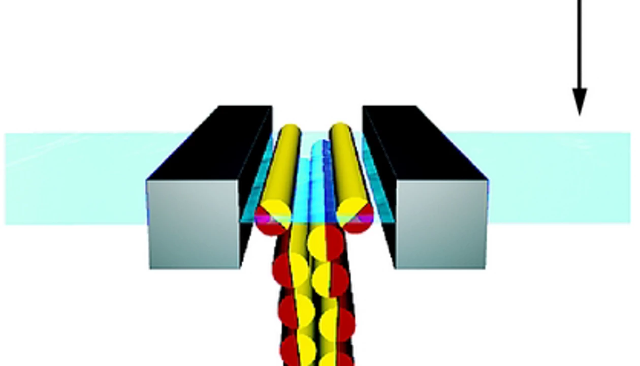 Surprise Route To Peptoid Nanosheets