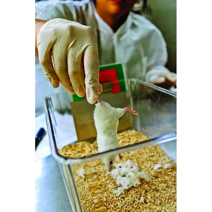 Alleged-Science-Manipulation