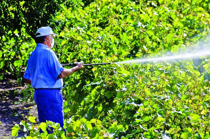 Detecting-Pesticide-Exposure