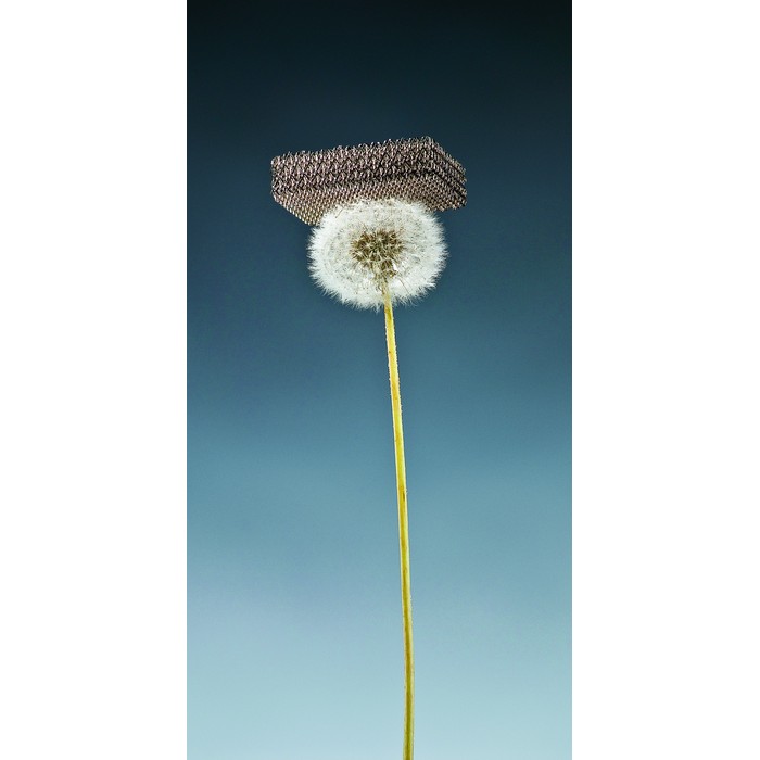 Structures-Strong-Small