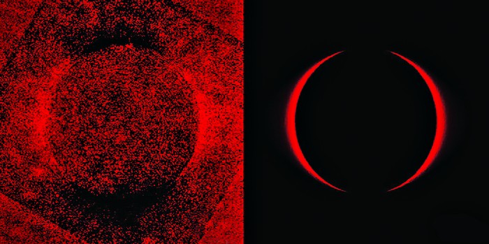 Nanomagnets-Under-Microscope