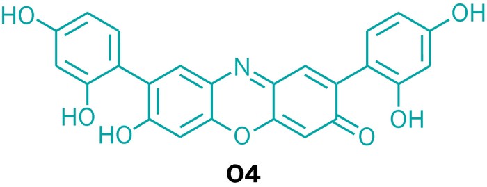 Really-Behind-Alzheimers