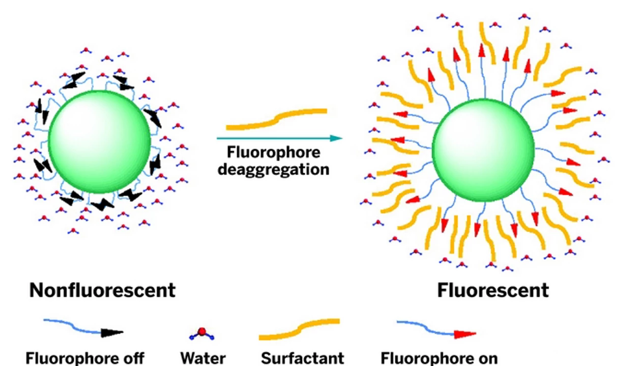 Switch-On Fluorescence