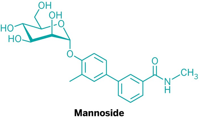 Mannosides-Fight-Urinary-Infections