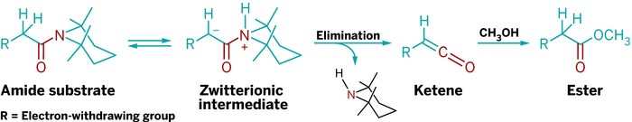 New-Twist-Amide-Activation