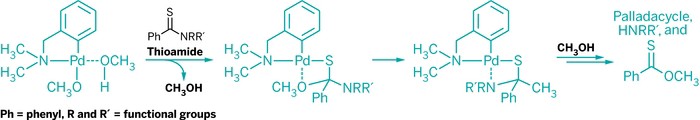Catalyst-Promotes-Acyl-Transfer-Three
