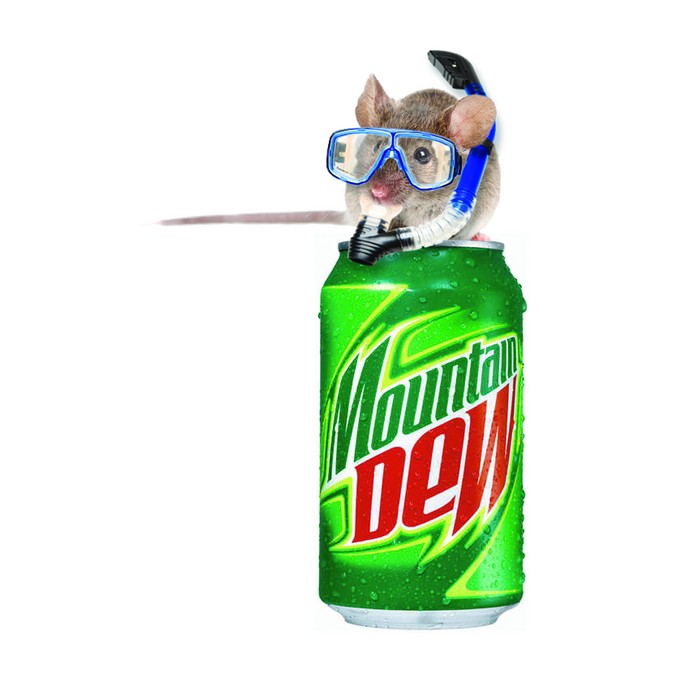 Business Cat Meme Dead Mouse