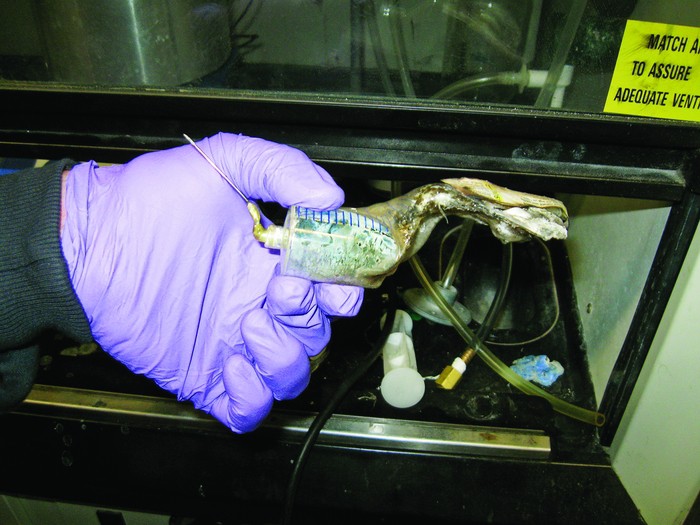 Systemic-Failures-Cited-Lab-Death