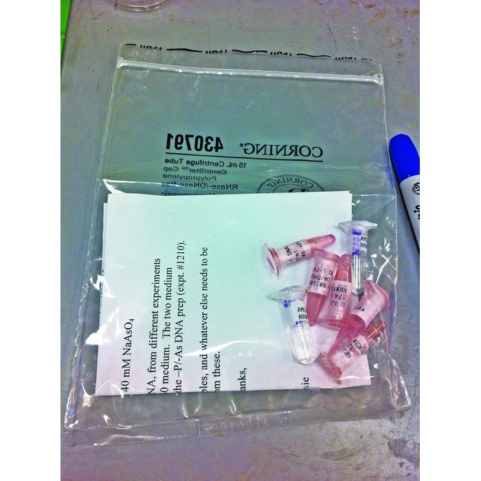 Arsenic-Based-Life-Aftermath