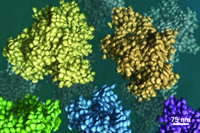 EasyUse-Protein-Drugs