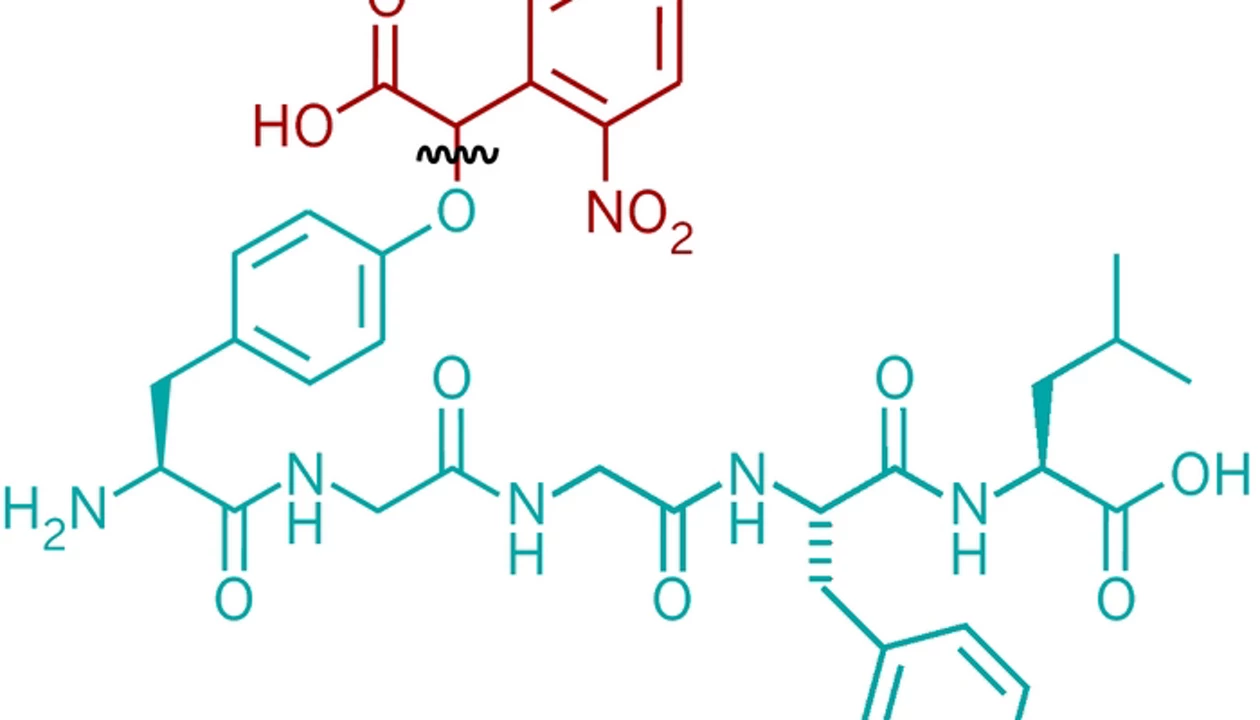 Neuropeptide Signaling Seen In A Different Light