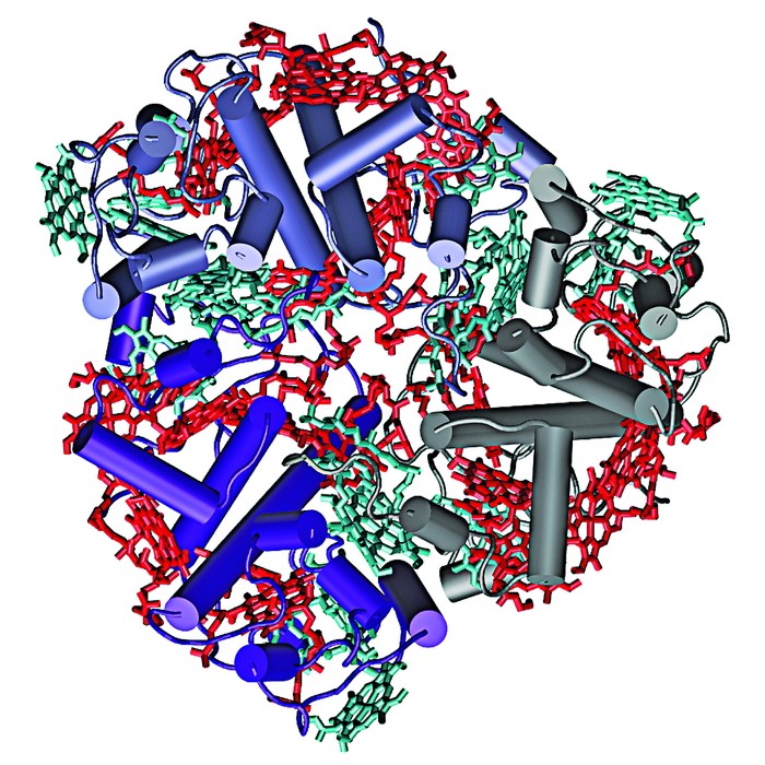 Quantum-Side-Photosynthesis