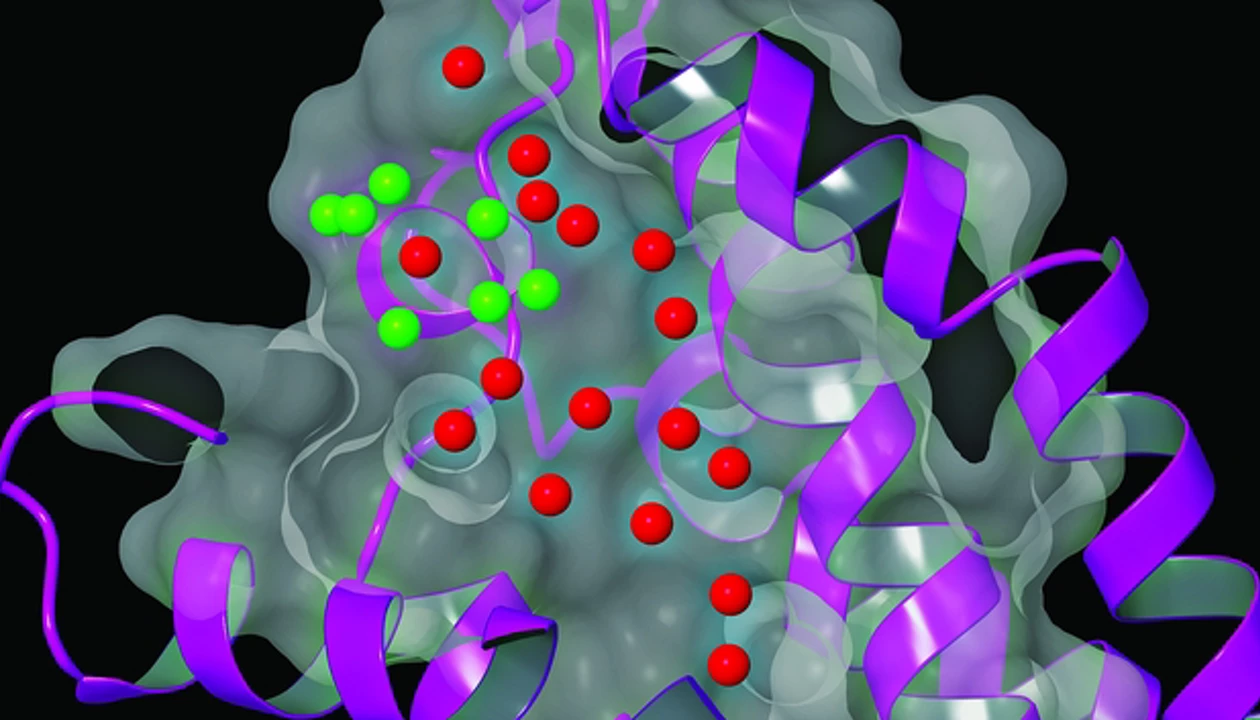 Water’s Role In Drug Discovery