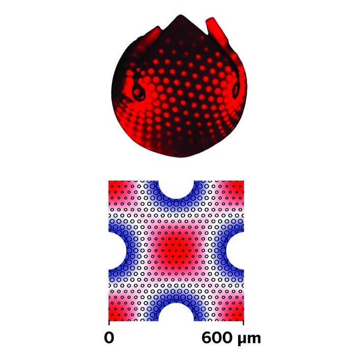 Polymer-Sheets-Shape