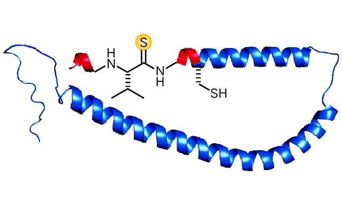 Protein-Motion-Capture
