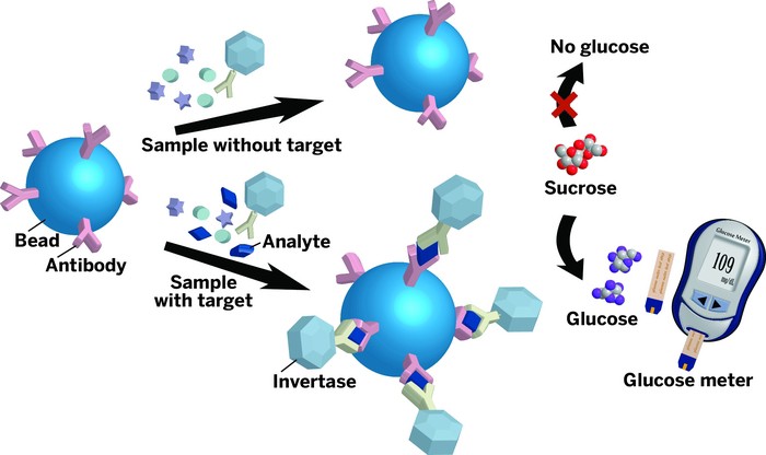 Coverage-Glucose-Meters