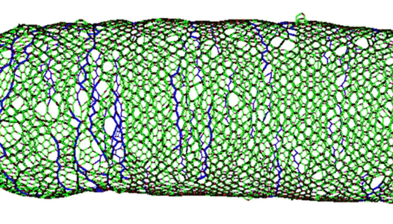 Another Look At The Cell Wall