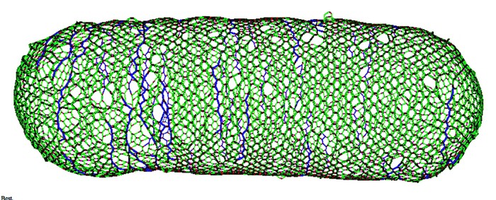 Another-Look-Cell-Wall