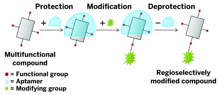 Aptamers-Aid-Analog-Synthesis