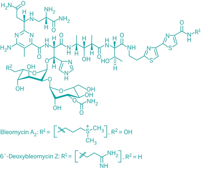 Bleomycin-Potency-Boost