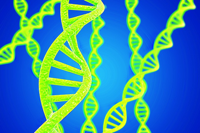 Court-Upholds-Gene-Patents