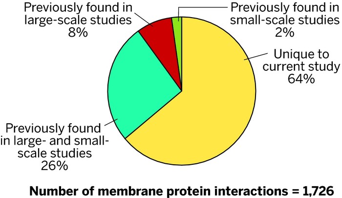 Membrane-Protein-Network-Expands