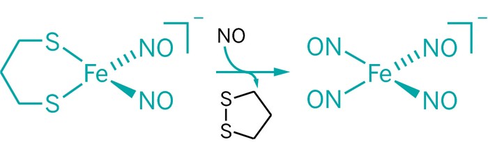 Iron-Complex-Doubles-Nitrosyl-Ligands