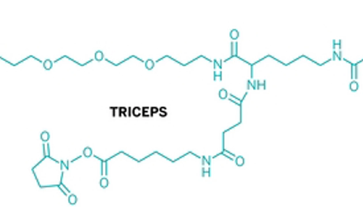 Trifunctional Reagent Identifies Ligand-Receptor Interactions