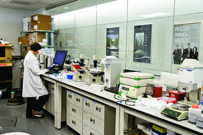 Pfizers-Academic-Experiment