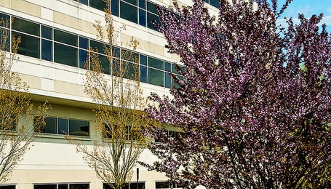 BASF Opens U.S. Dermatology Lab