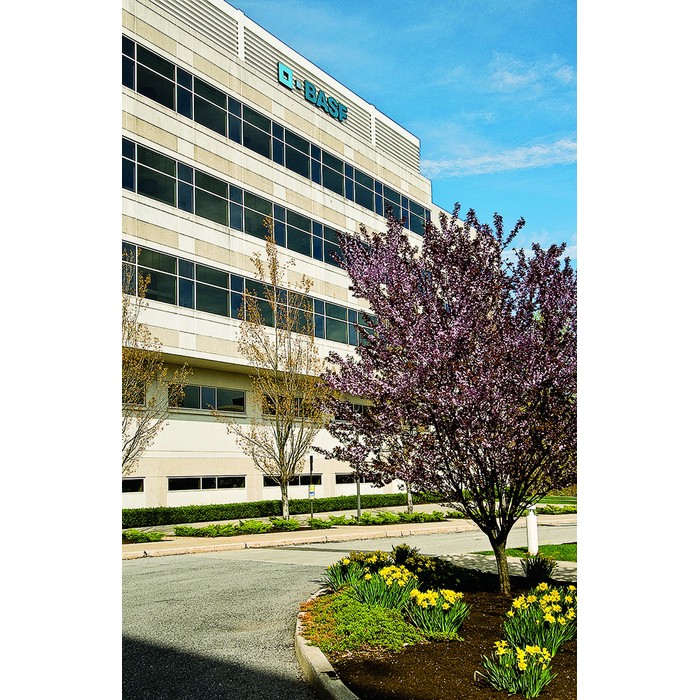 BASF-Opens-US-Dermatology-Lab