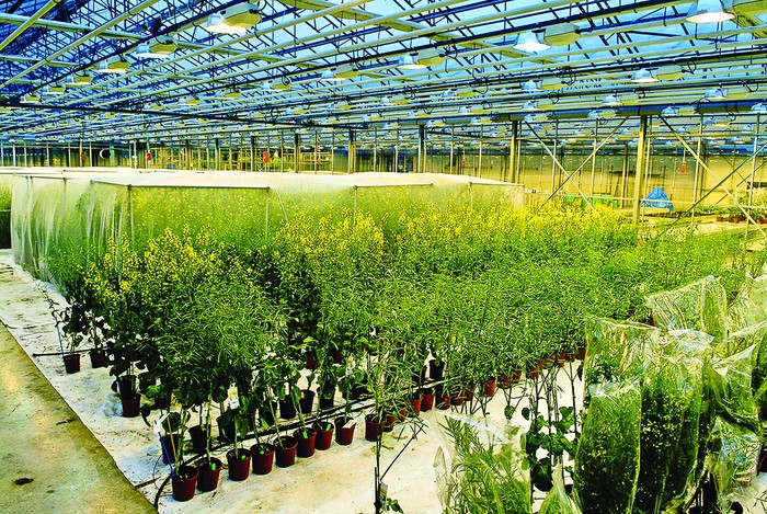 Syngenta-Bayer-CropScience-BASF-Spend