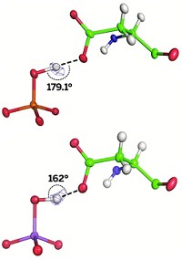 DNA-Backbone-Swaps-Sulfur