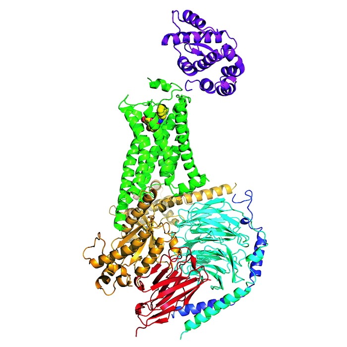 Robert-J-Lefkowitz-Brian-K