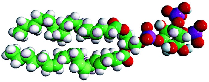 Mechanical-Maneuvers-Enable-Fruit-Fly