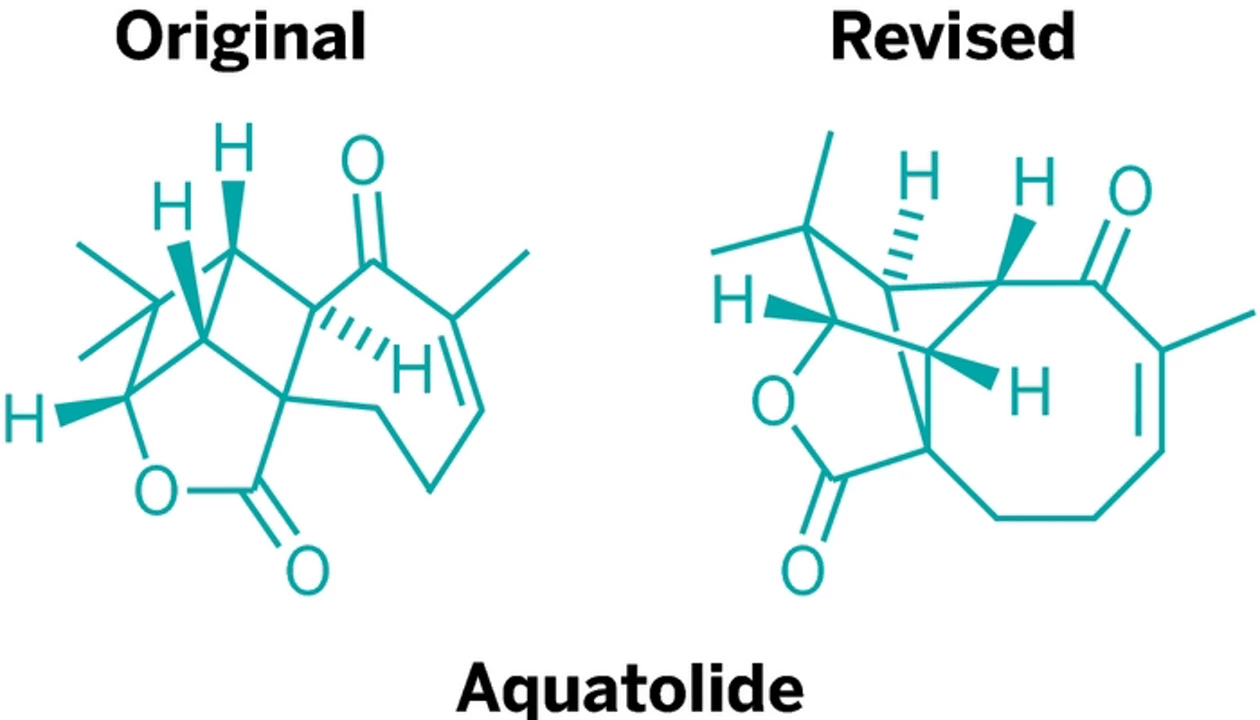 Predicted Structure Rewrites History